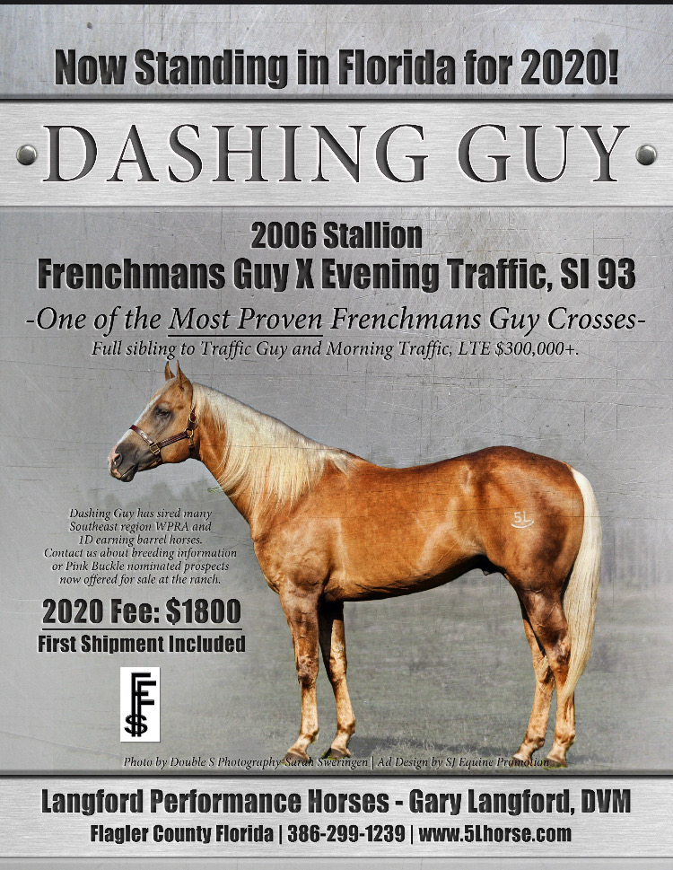 DashingGuy – goBarrelRace.com